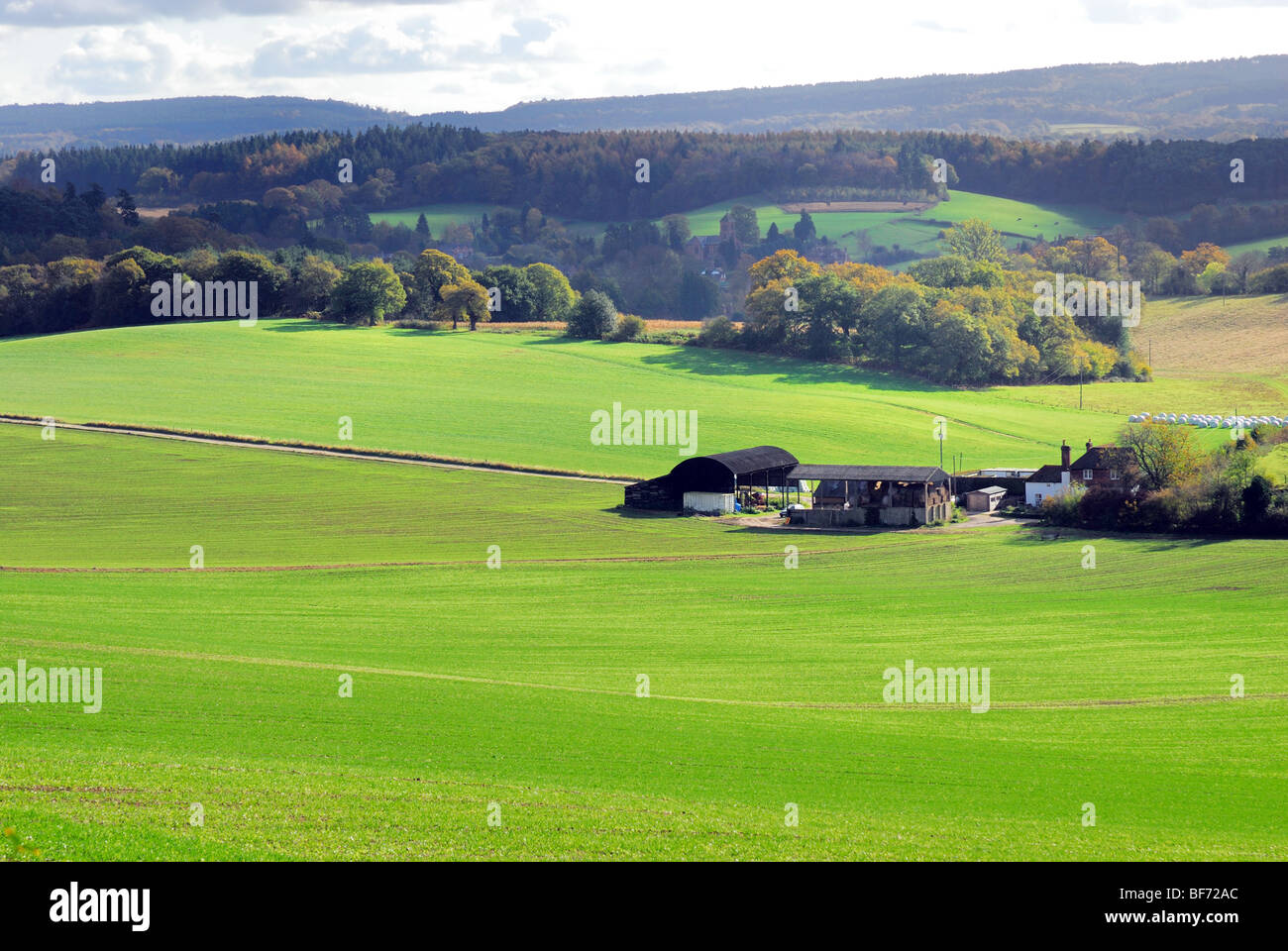 Farms in surrey hi-res stock photography and images - Alamy