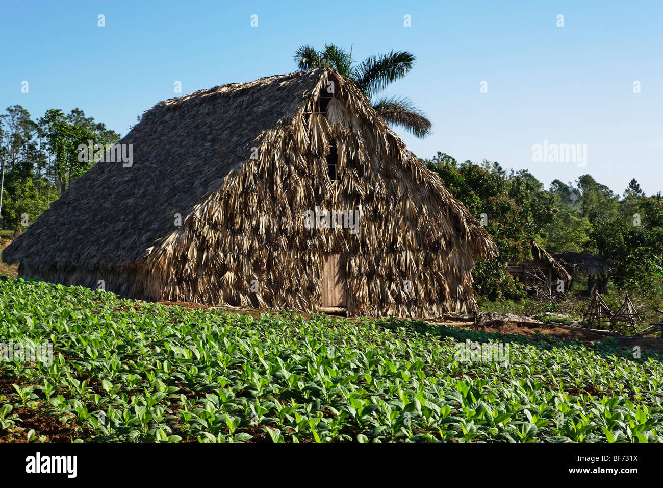 Tobacco kiln hi-res stock photography and images - Alamy