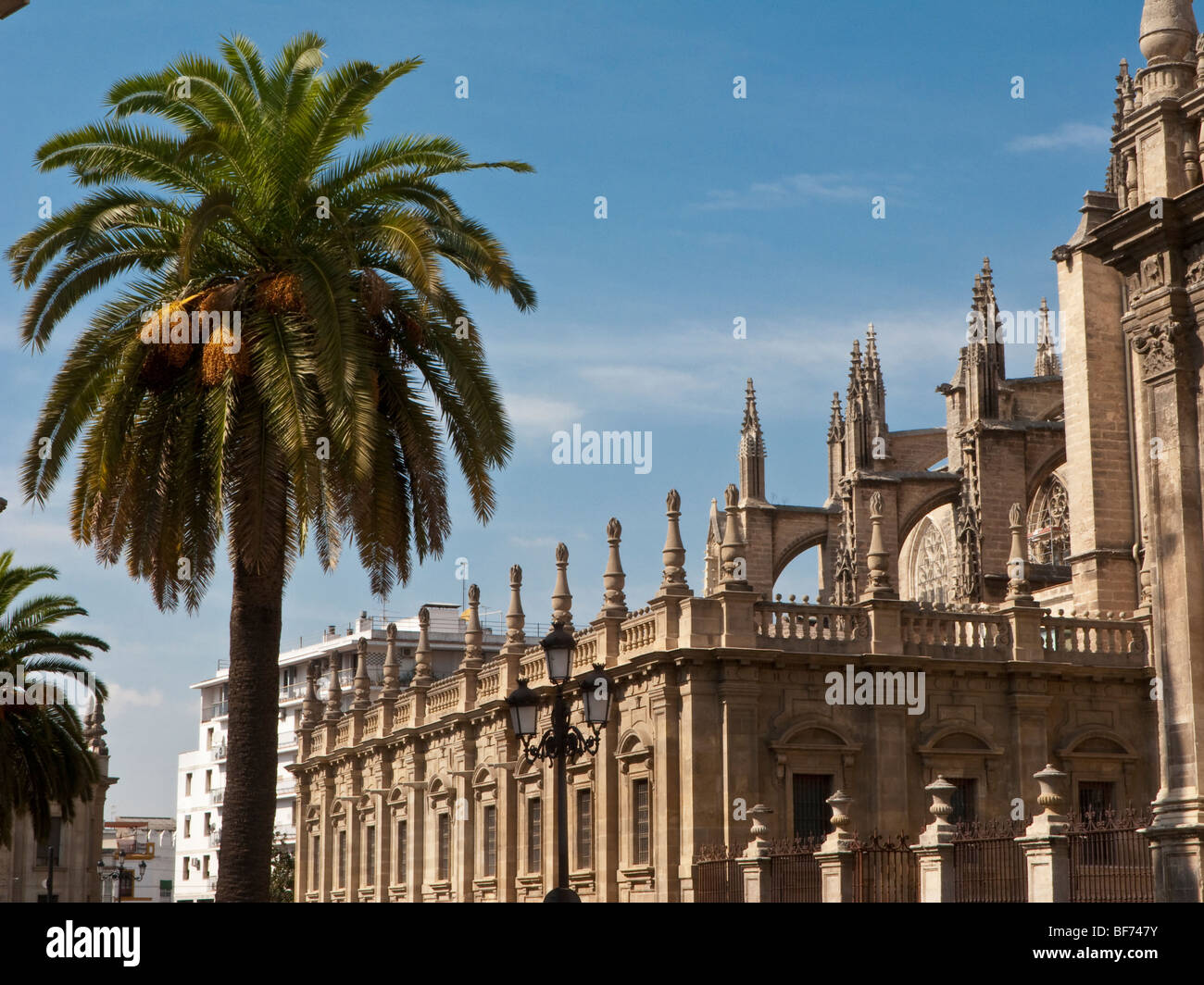 Catedral de sevilla hi-res stock photography and images - Alamy