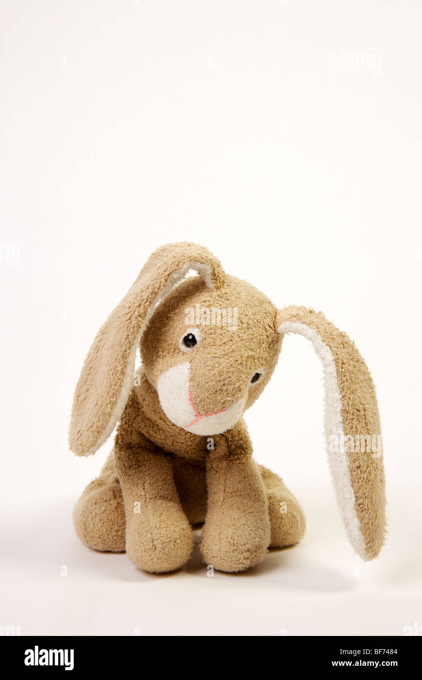 Cute Stuffed Bunny