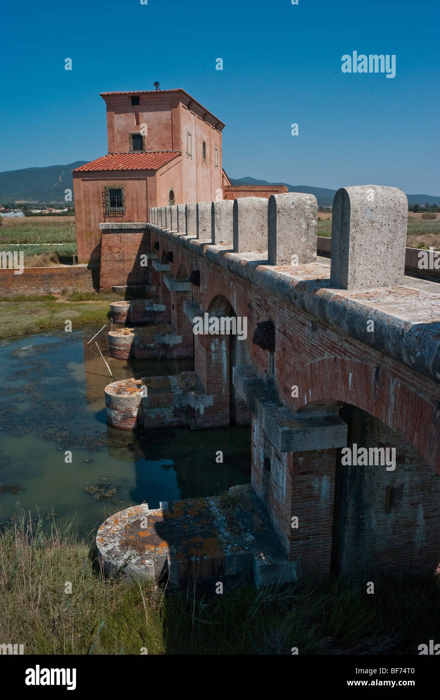 Swamp italy hi-res stock photography and images - Alamy