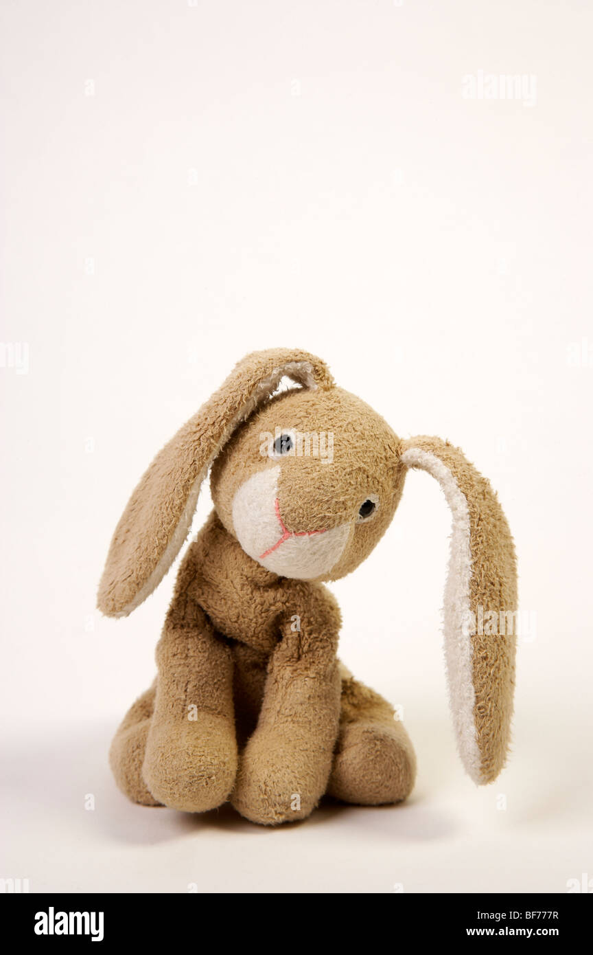 Bunny rabbit plain background hi-res stock photography and images - Alamy