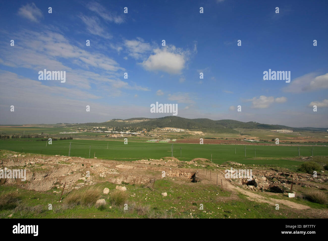 Israel, Shephelah. Sorek valley and Tel Tzora as seen from Tel Beth ...