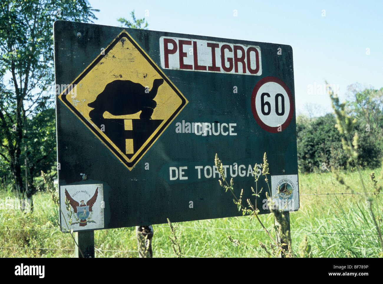 Tortugas santa cruz hi-res stock photography and images - Alamy