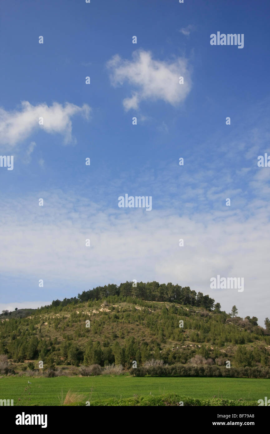Valley of elah israel hi-res stock photography and images - Alamy