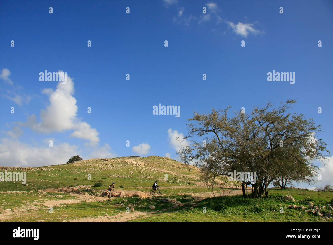 Gath, israel hi-res stock photography and images - Alamy