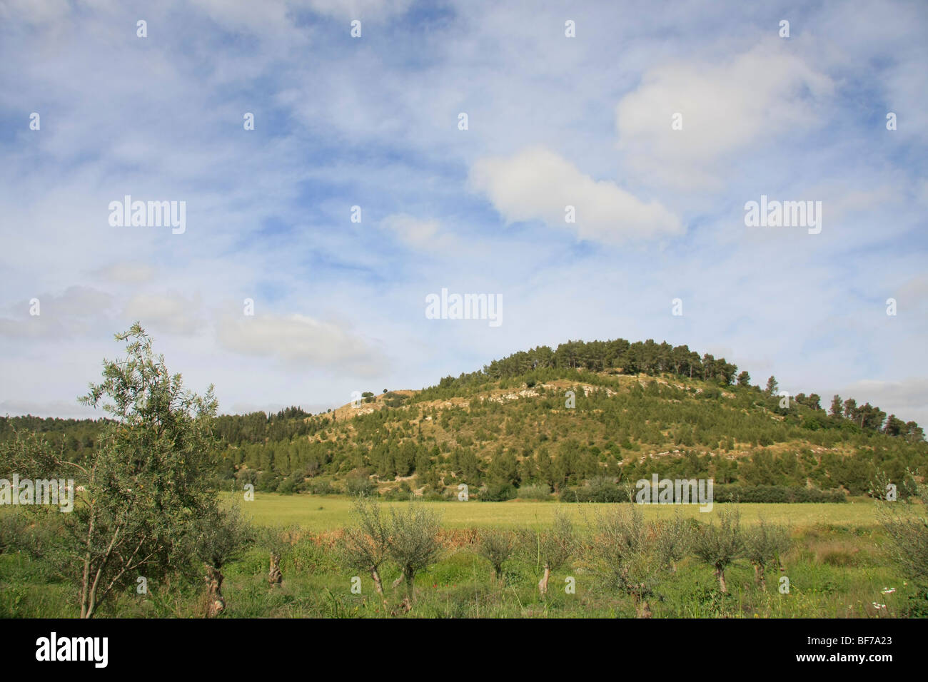 Israel, Shephelah. Tel Azekah overlooks the Valley of Elah Stock Photo ...