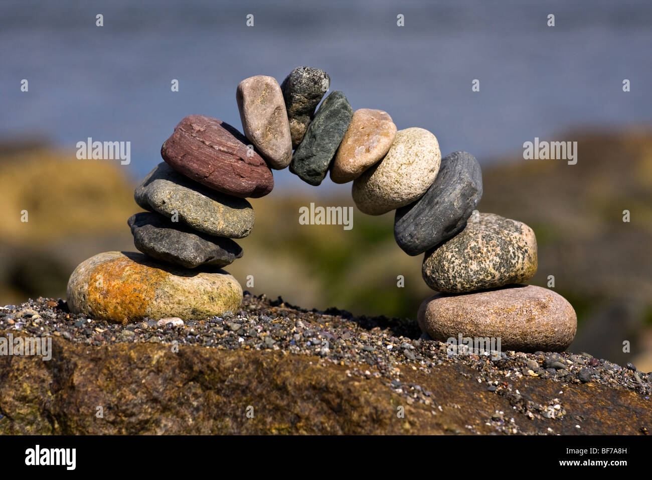Homeostasis hi-res stock photography and images - Alamy