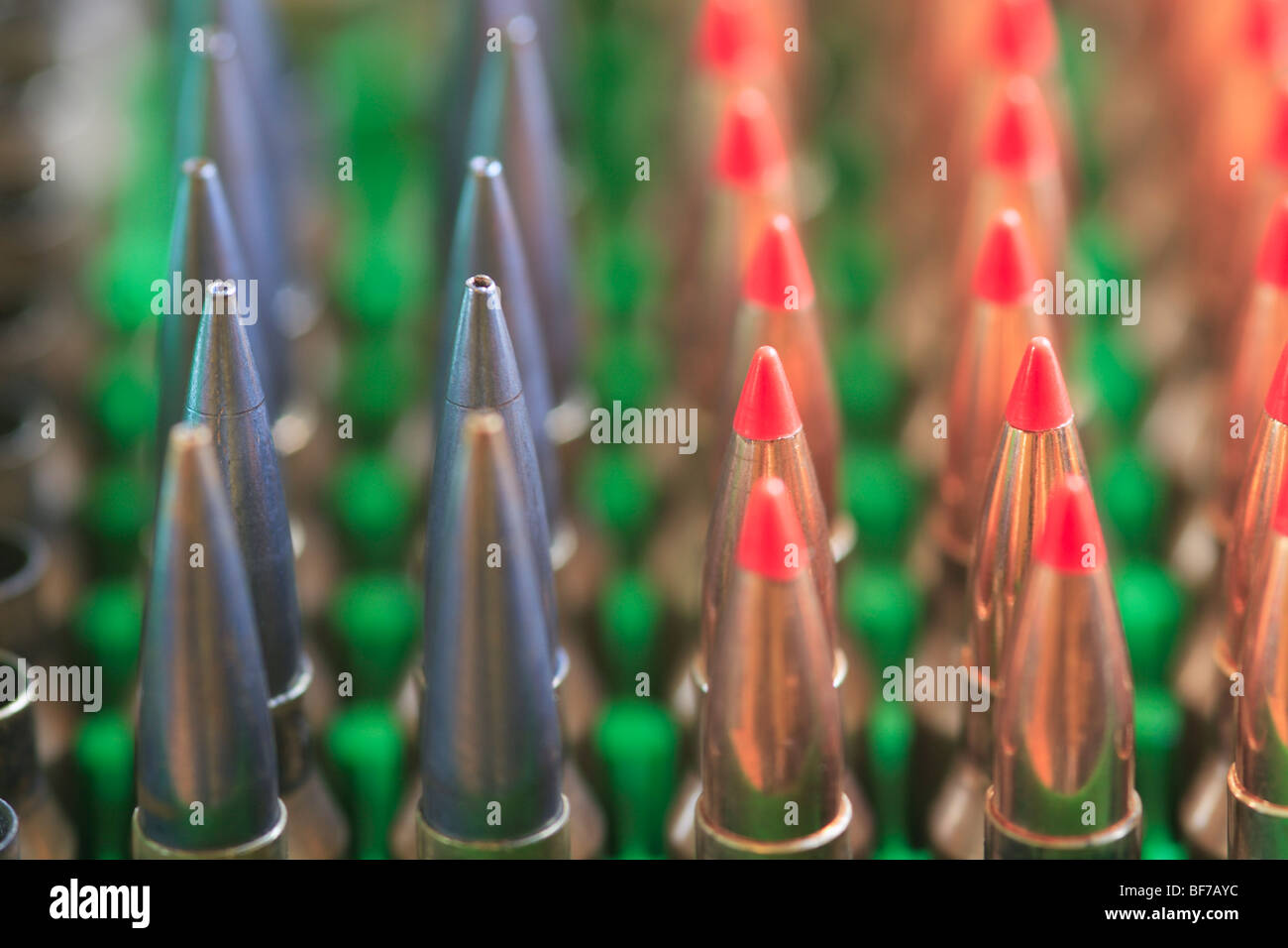 .223 Hollow Point & Ballistic Tip Ammunition Stock Photo - Alamy