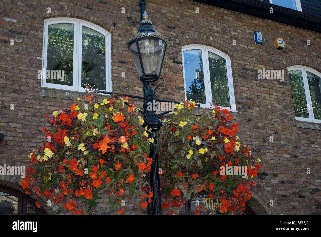 Flowers in hanging baskets on a lamp post Marble Quay, London Stock ...