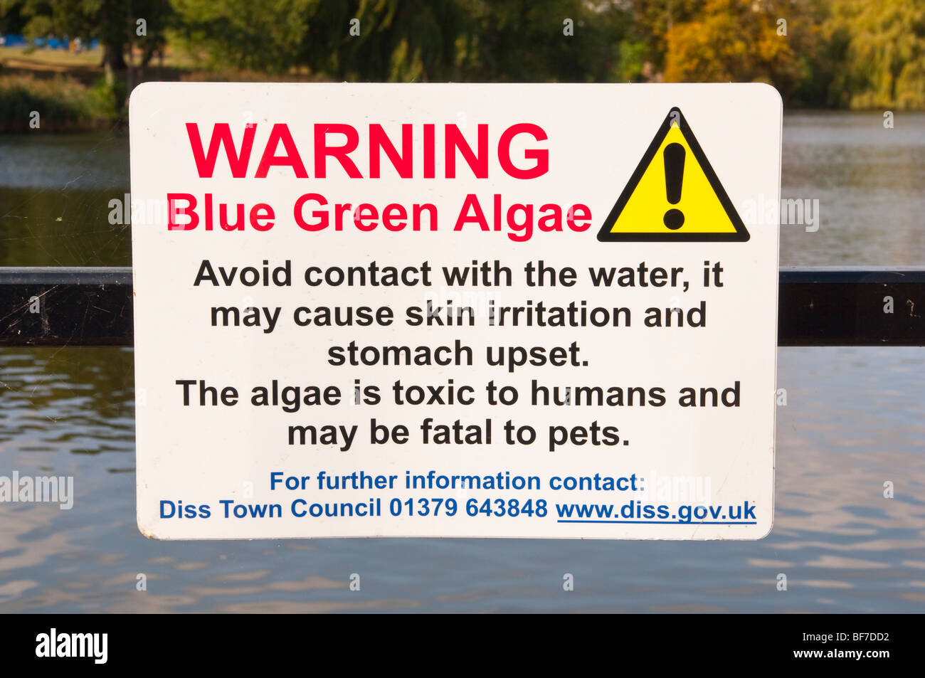 A sign warning of Blue Green Algae at The Mere in Diss,Norfolk,Uk Stock ...