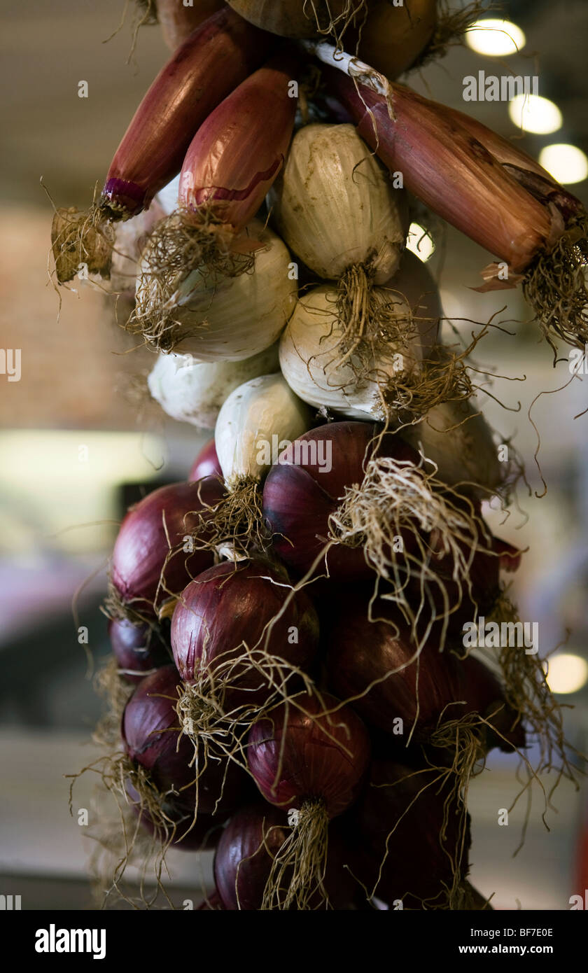 White onions on display hi-res stock photography and images - Alamy