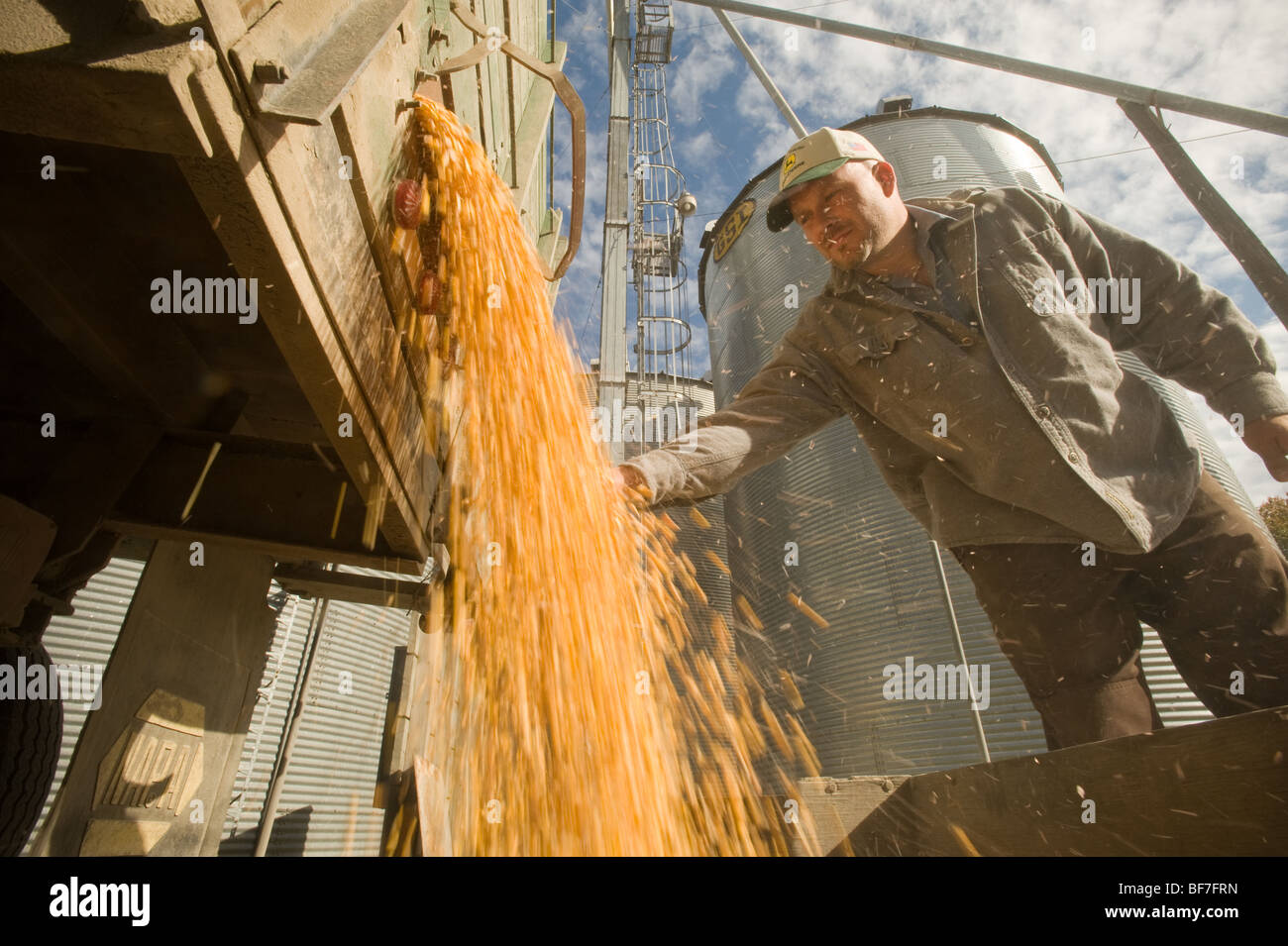 Combine harvest unloading maize corn hi-res stock photography and ...