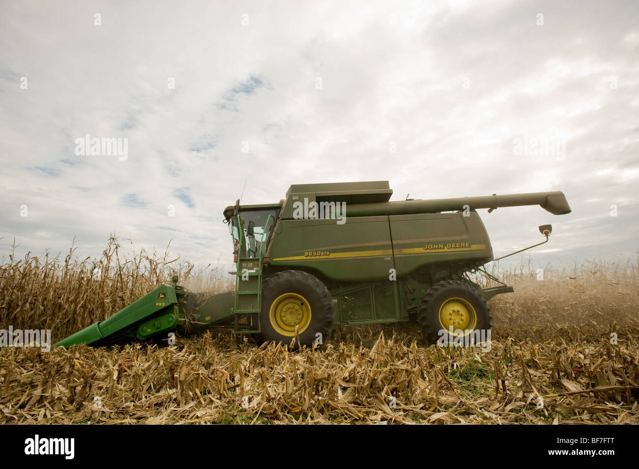 combine harvesting corn Stock Photo - Alamy