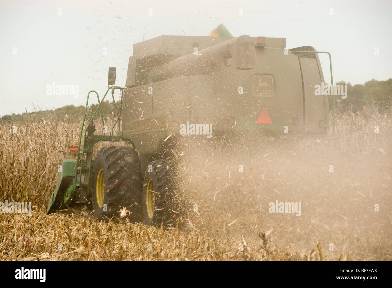 combine harvesting corn Stock Photo - Alamy