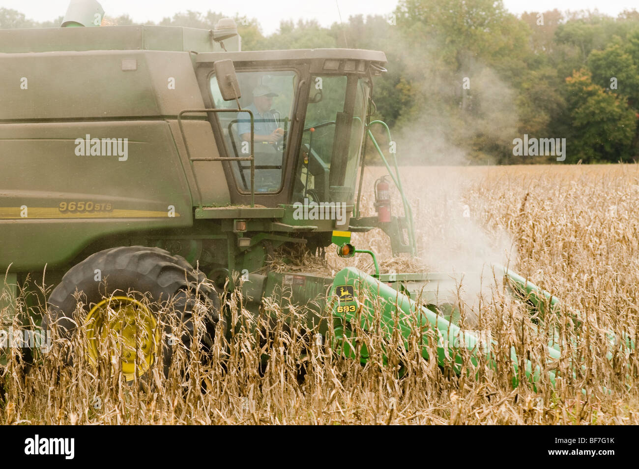 corn picker harvesting corn Stock Photo - Alamy