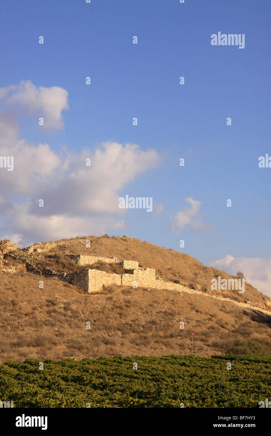 Lachisch hi-res stock photography and images - Alamy