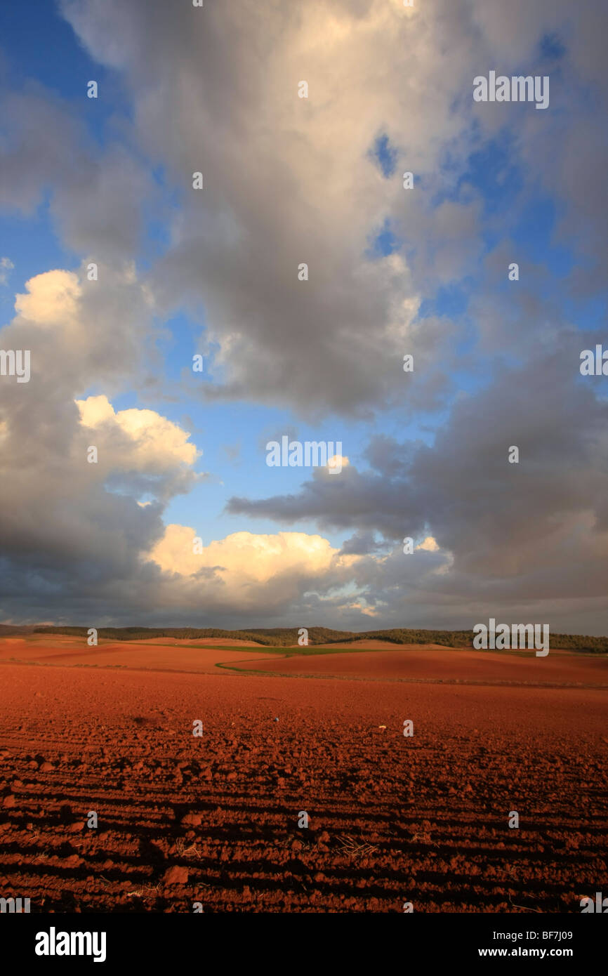 Israel fields hi-res stock photography and images - Alamy
