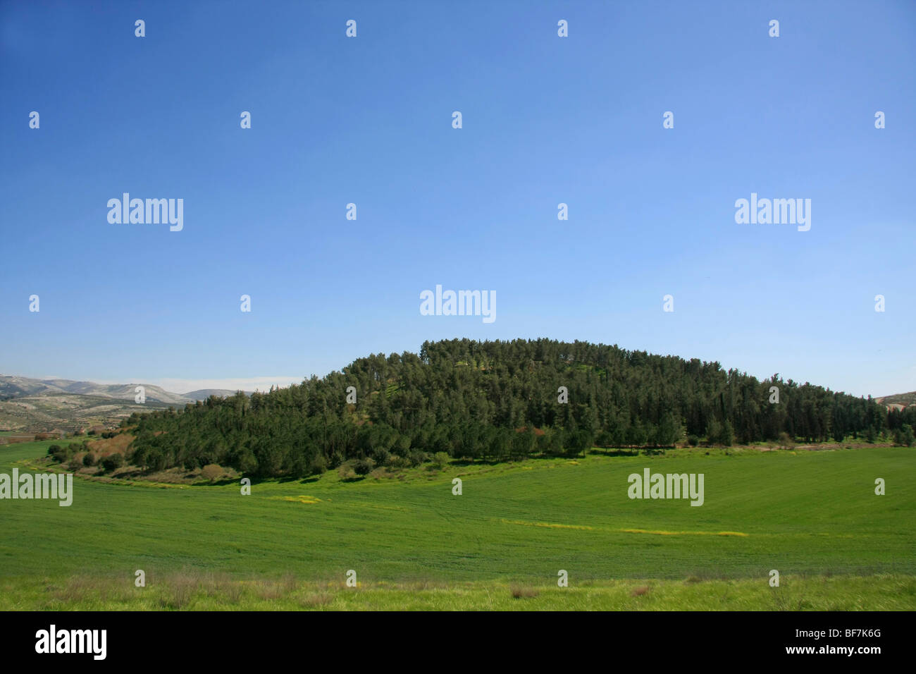 Israel, Shephelah, Tel Adullam site of Biblical Adullam Stock Photo - Alamy