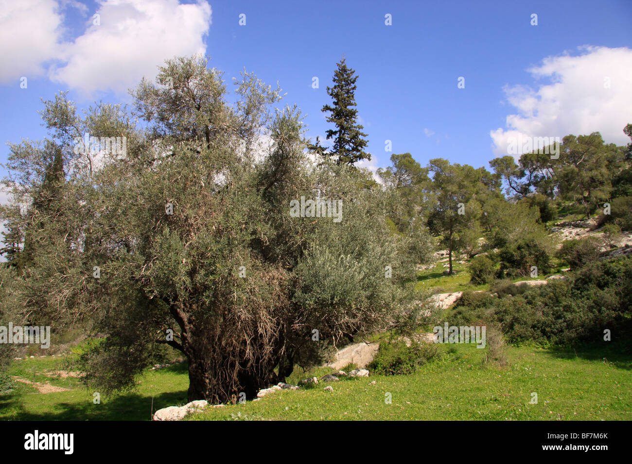 Bet gemal hi-res stock photography and images - Alamy