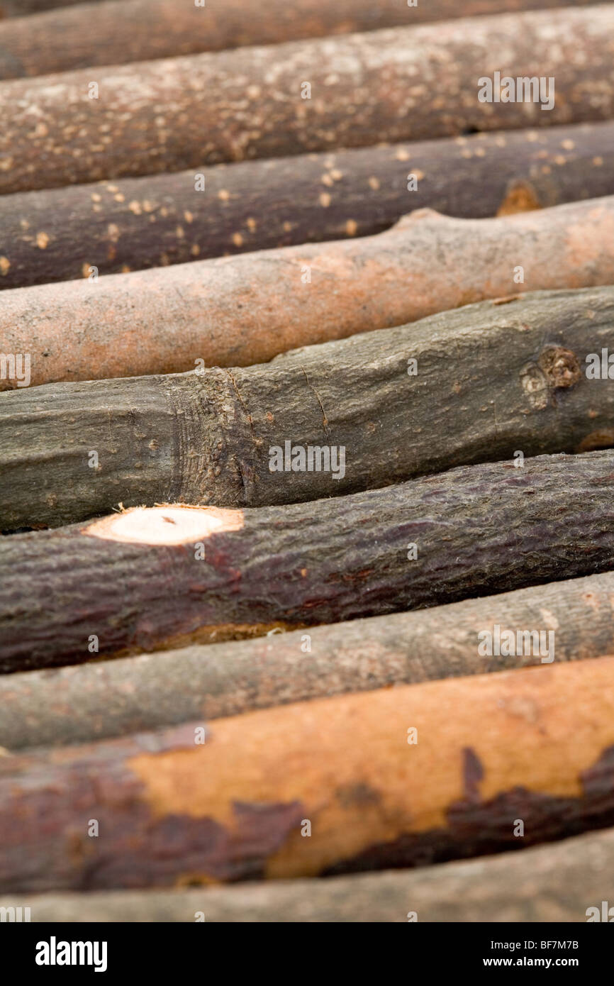 log close up shot for background Stock Photo - Alamy