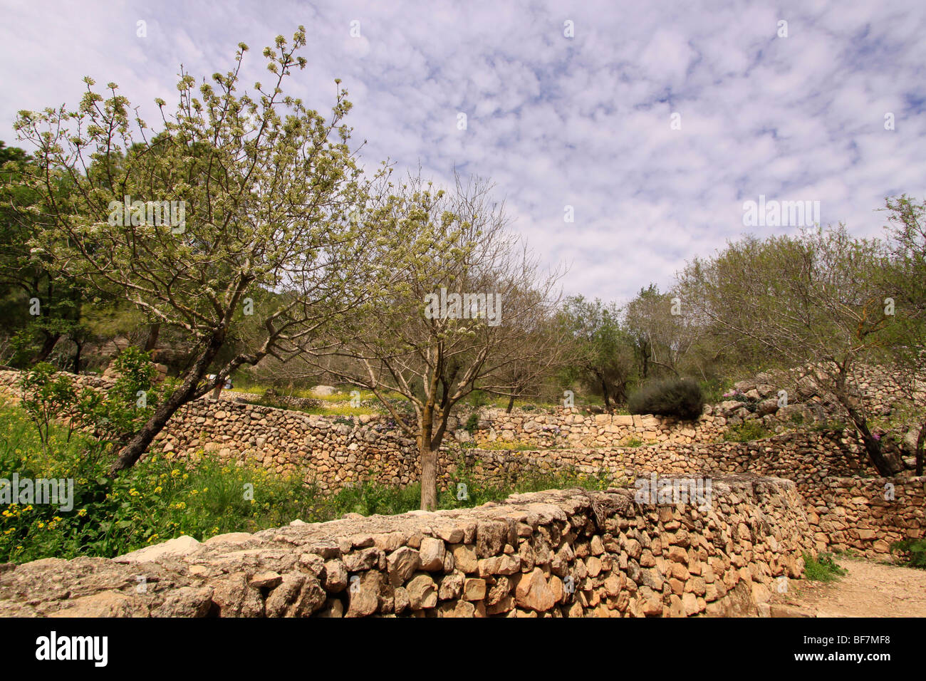 Sataf hi-res stock photography and images - Alamy