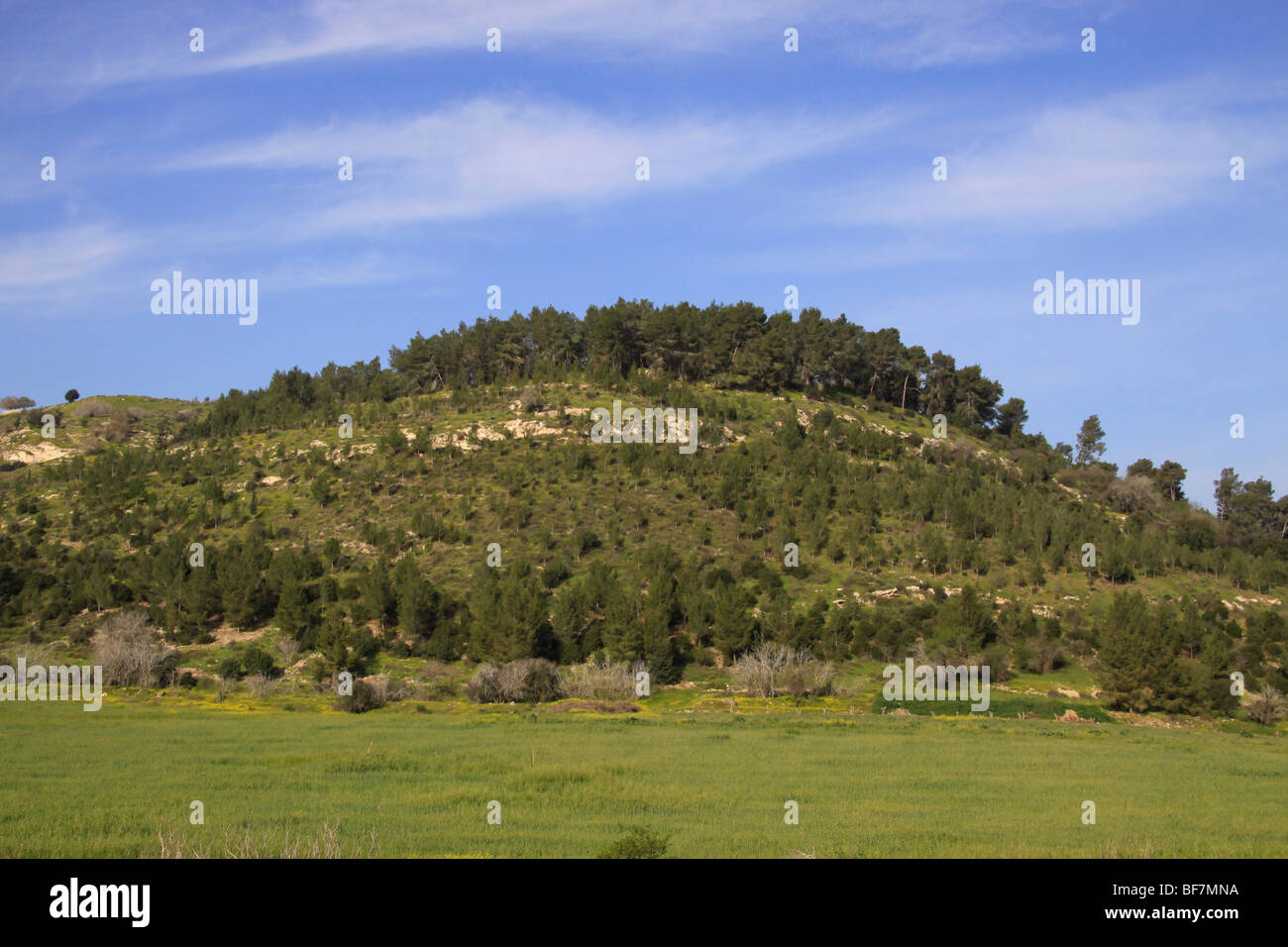 Israel, Shephelah, Tel Azekah overlooks the Valley of Elah Stock Photo ...