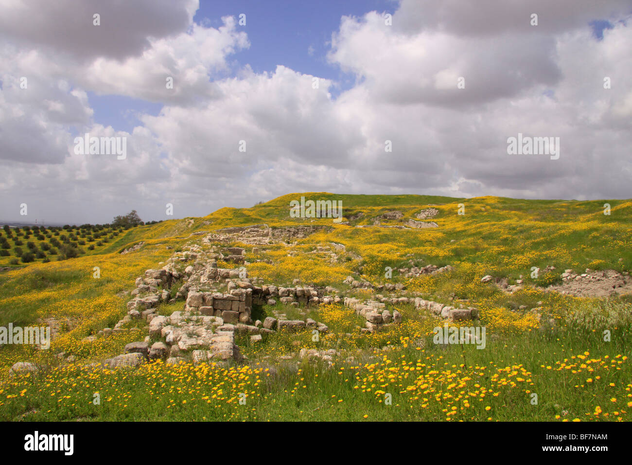 Gezer israel hi-res stock photography and images - Alamy