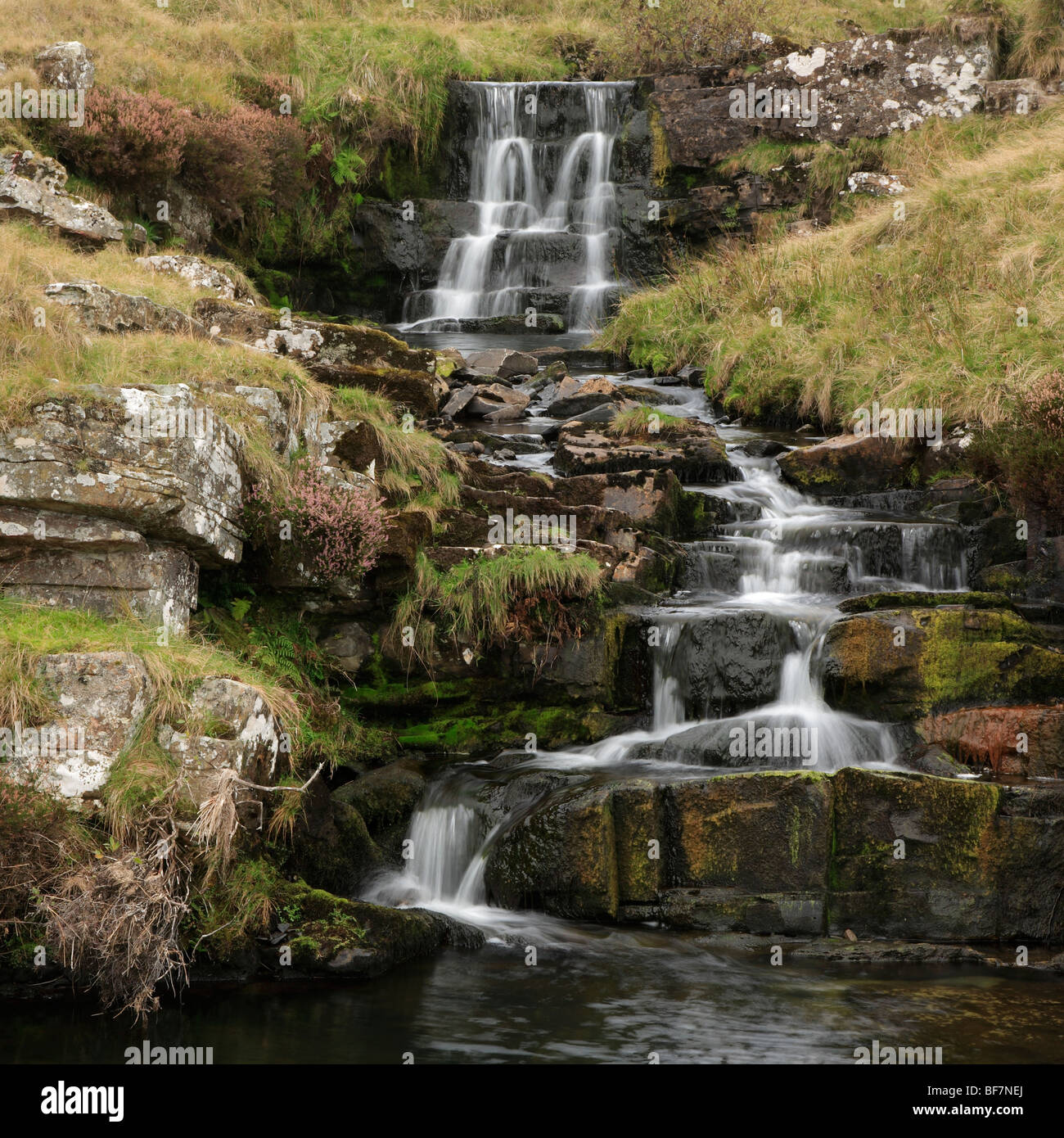 Waterfall, River Tawe, Wales, UK Stock Photo - Alamy