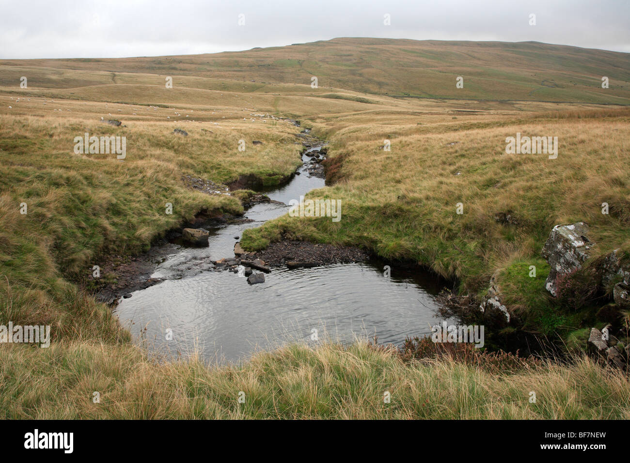 Source of River Tawe, Wales, UK Stock Photo - Alamy