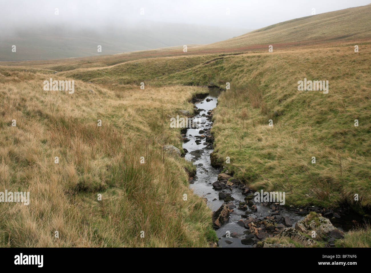 Source of River Tawe, Wales, UK Stock Photo - Alamy