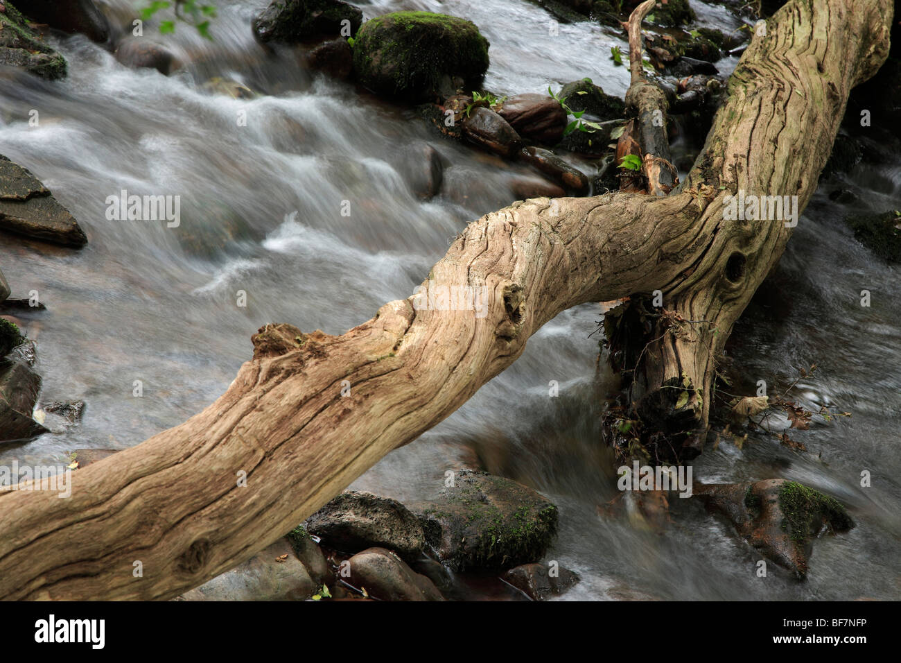 River Tawe, Wales, UK Stock Photo - Alamy