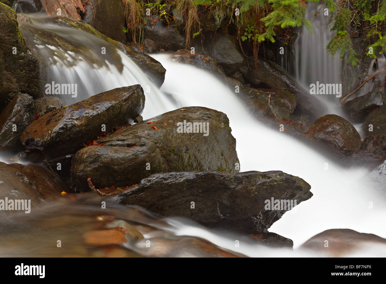 Autumn brook with mini waterfalls flowing in the national park Stock ...