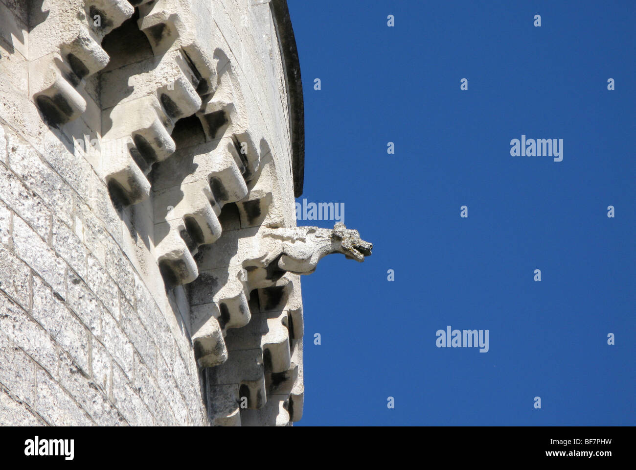 La Rochelle (17): Gargoyle of the "Tour de la Lanterne" tower Stock ...