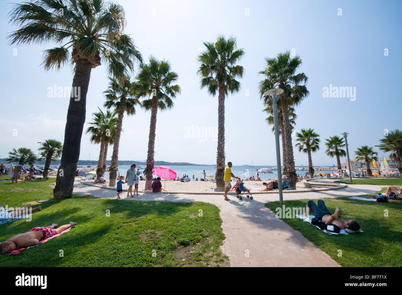 Palm tree lined sandy beach, Bandol, Cote d'Azur, South France Stock ...