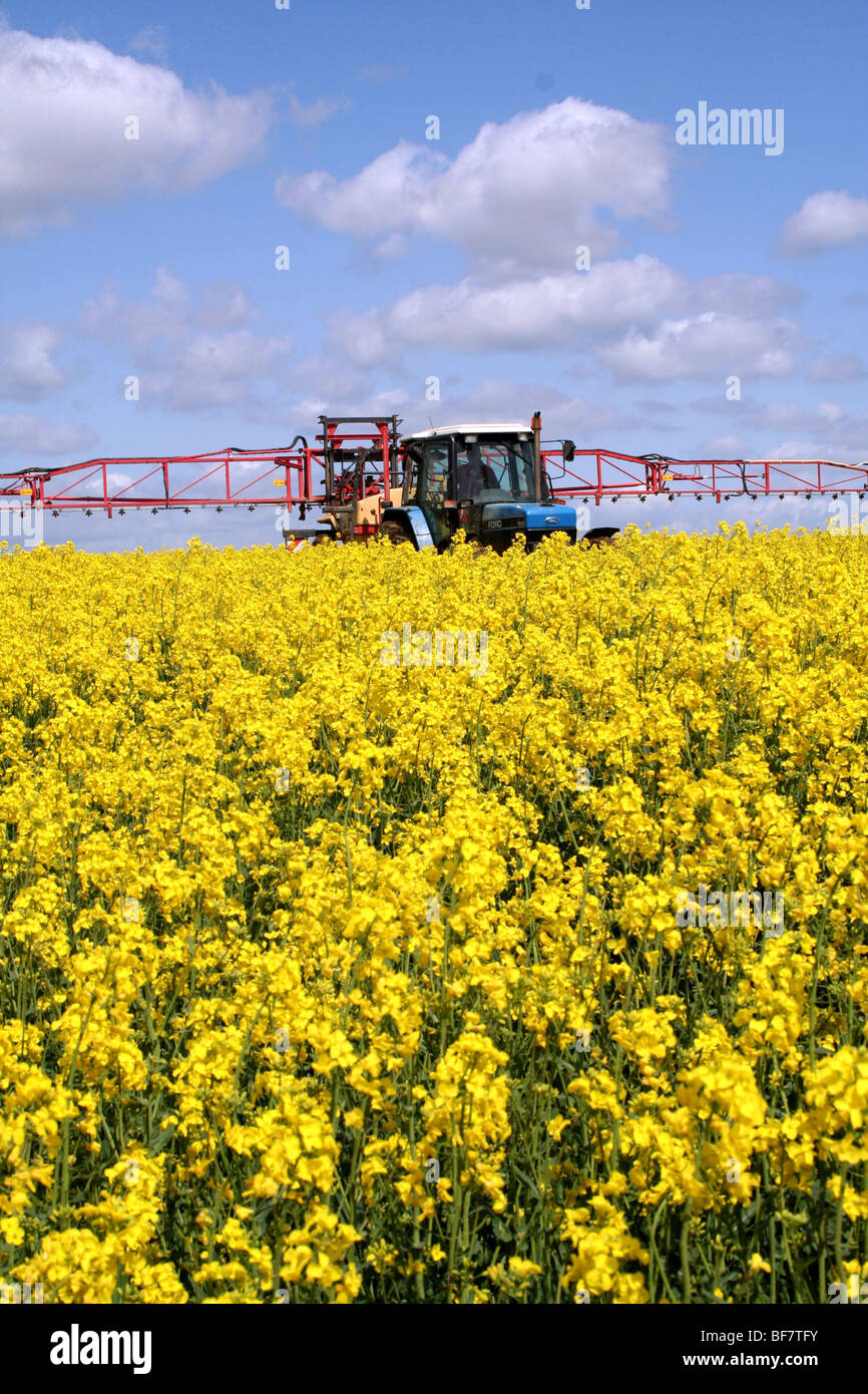 Fungicidal Stock Photos & Fungicidal Stock Images - Alamy