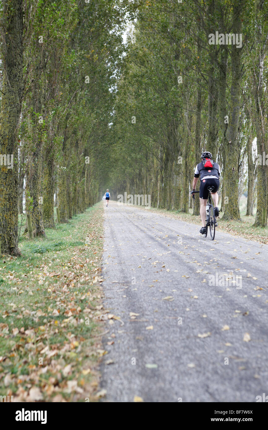 Cycling road trees hi-res stock photography and images - Alamy
