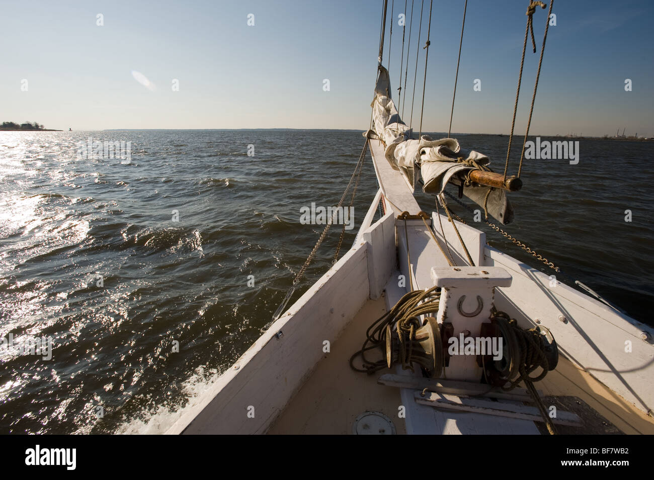 dredging oysters in Chesapeake bay on skipjack martha lewis Stock Photo ...