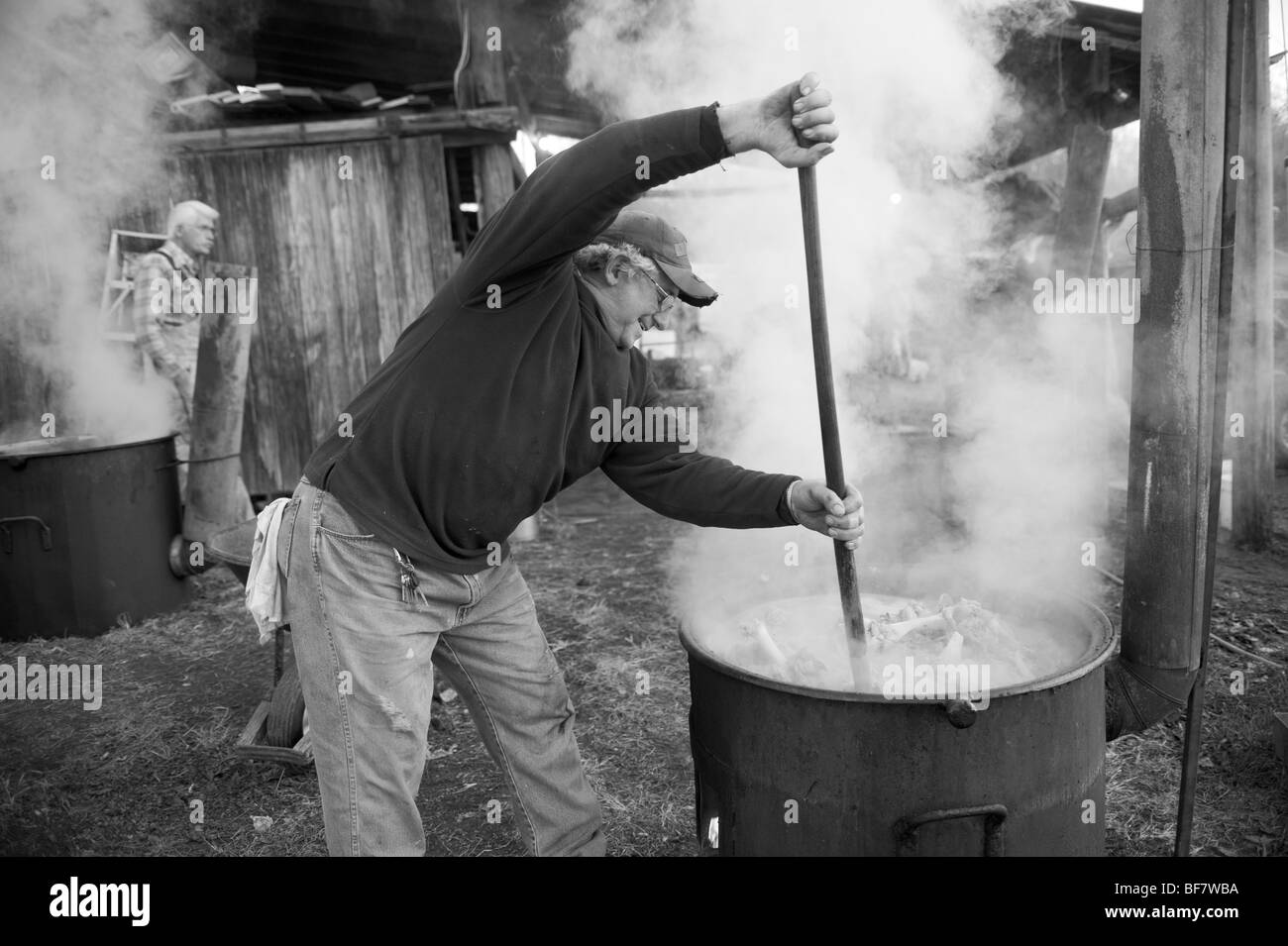 Backyard family hog butchering on farm Stock Photo - Alamy
