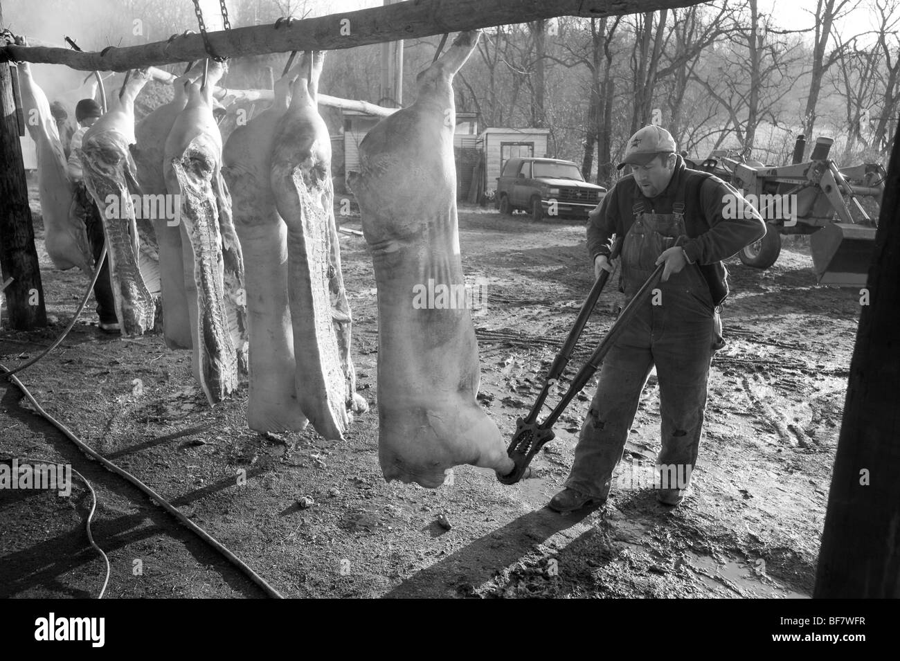 Farm backyard Black and White Stock Photos & Images - Alamy