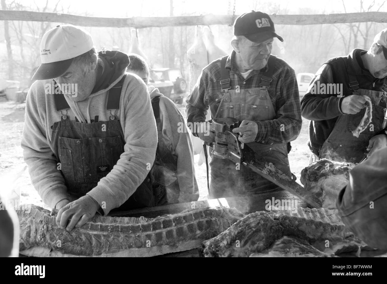 Butchering family pig hi-res stock photography and images - Alamy