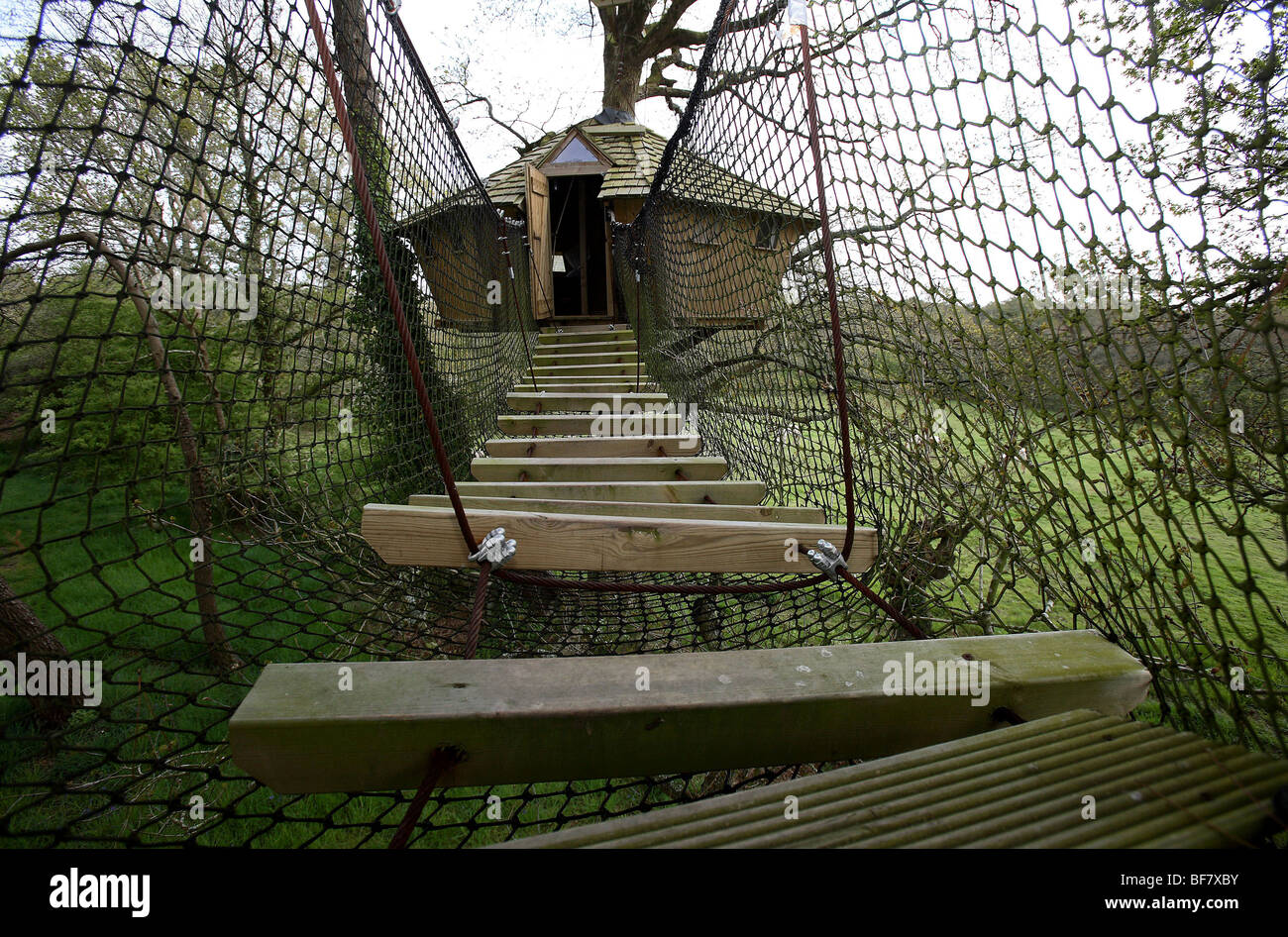 Eco-friendly housing: hut in the trees Stock Photo - Alamy