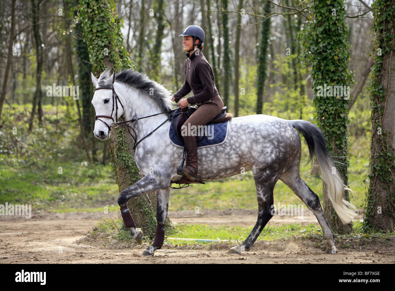 Equestrianism: young woman on horseback Stock Photo - Alamy