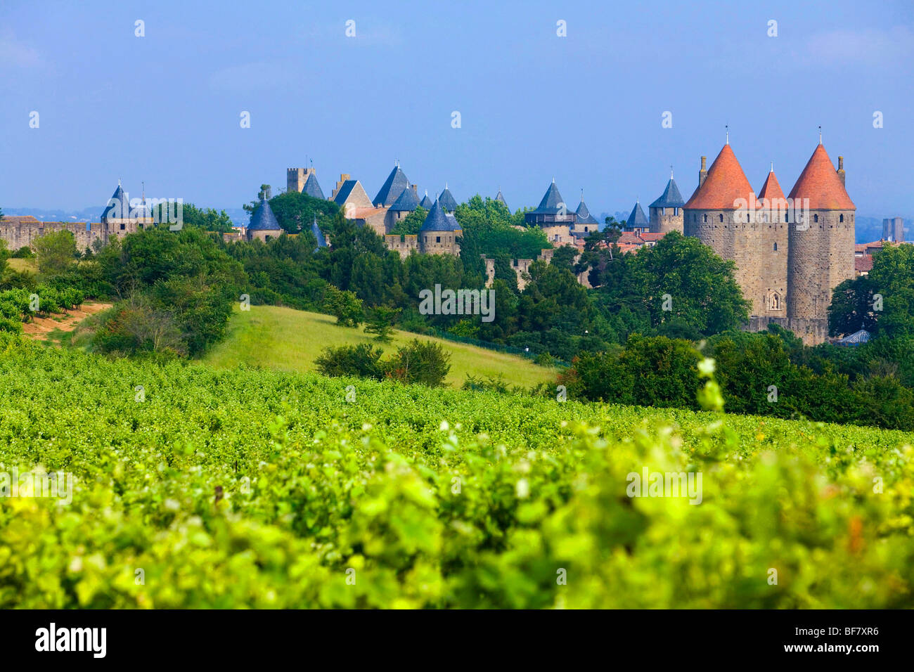Carcassonne (11) Citadel and vines Stock Photo - Alamy
