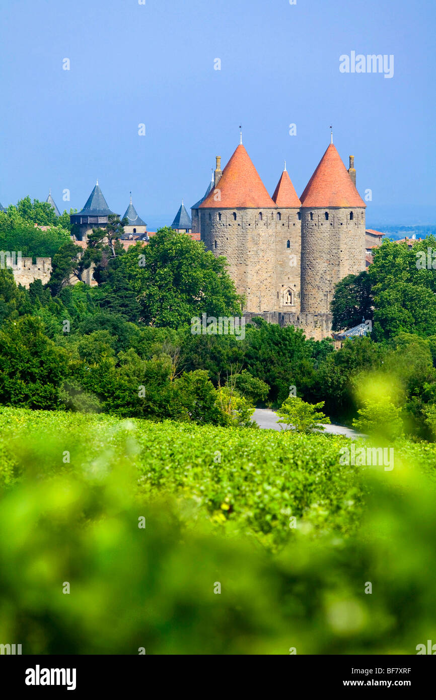 Carcassonne (11) Citadel and vines Stock Photo - Alamy