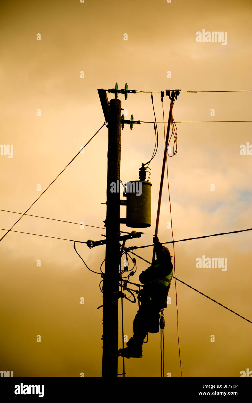 Irish electricity provider ESB engineer working to replace a ...