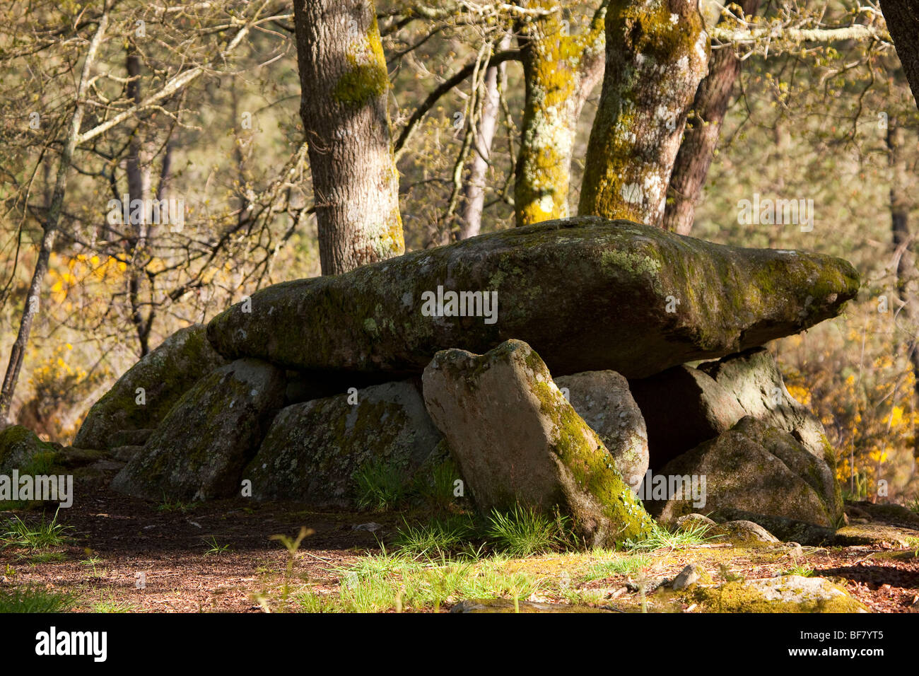 Dolmen megalith bretagne morbihan hi-res stock photography and images ...
