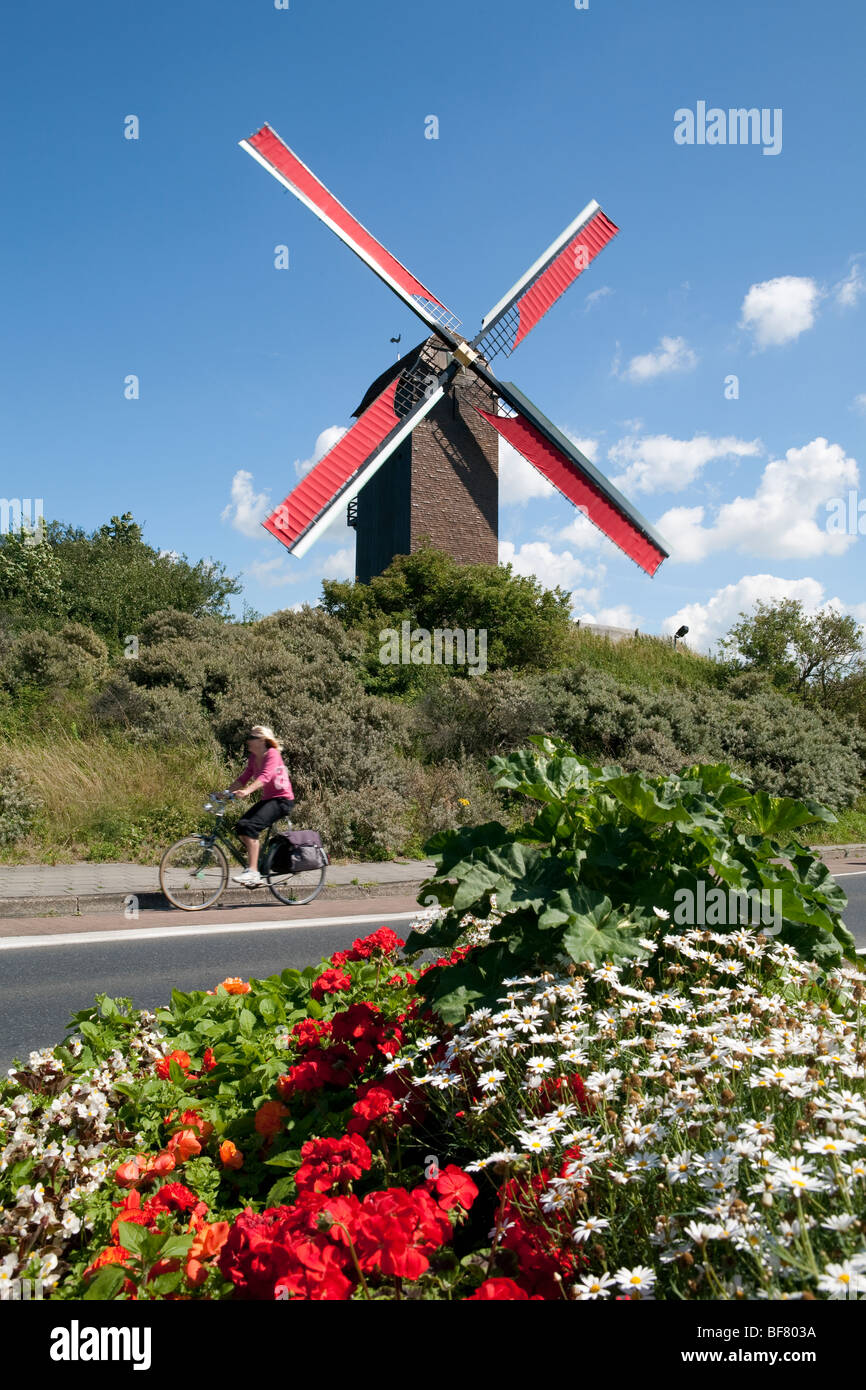 Windmill amongst sand dunes at De Panne Stock Photo - Alamy