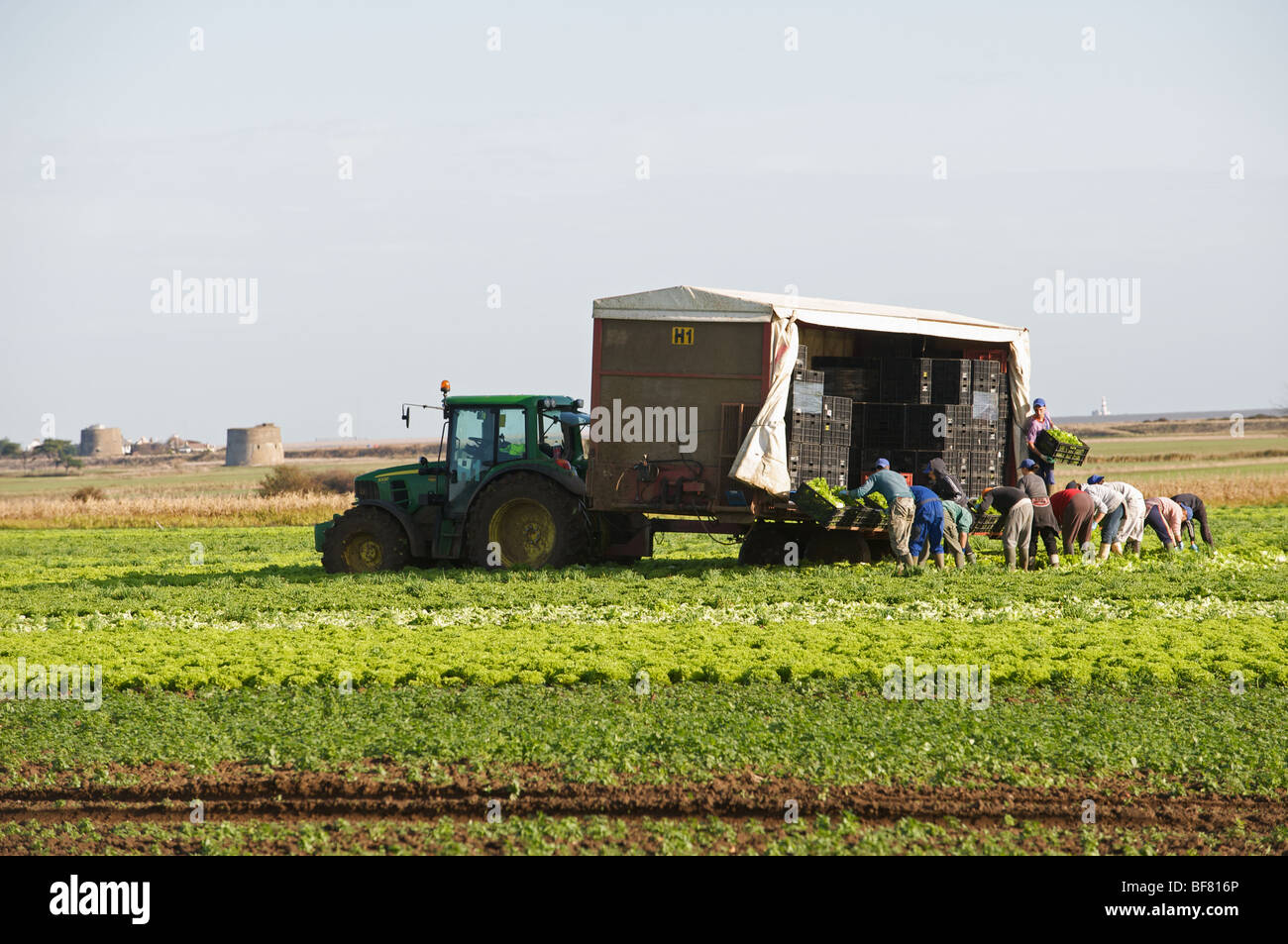 Eastern european women hi-res stock photography and images - Alamy