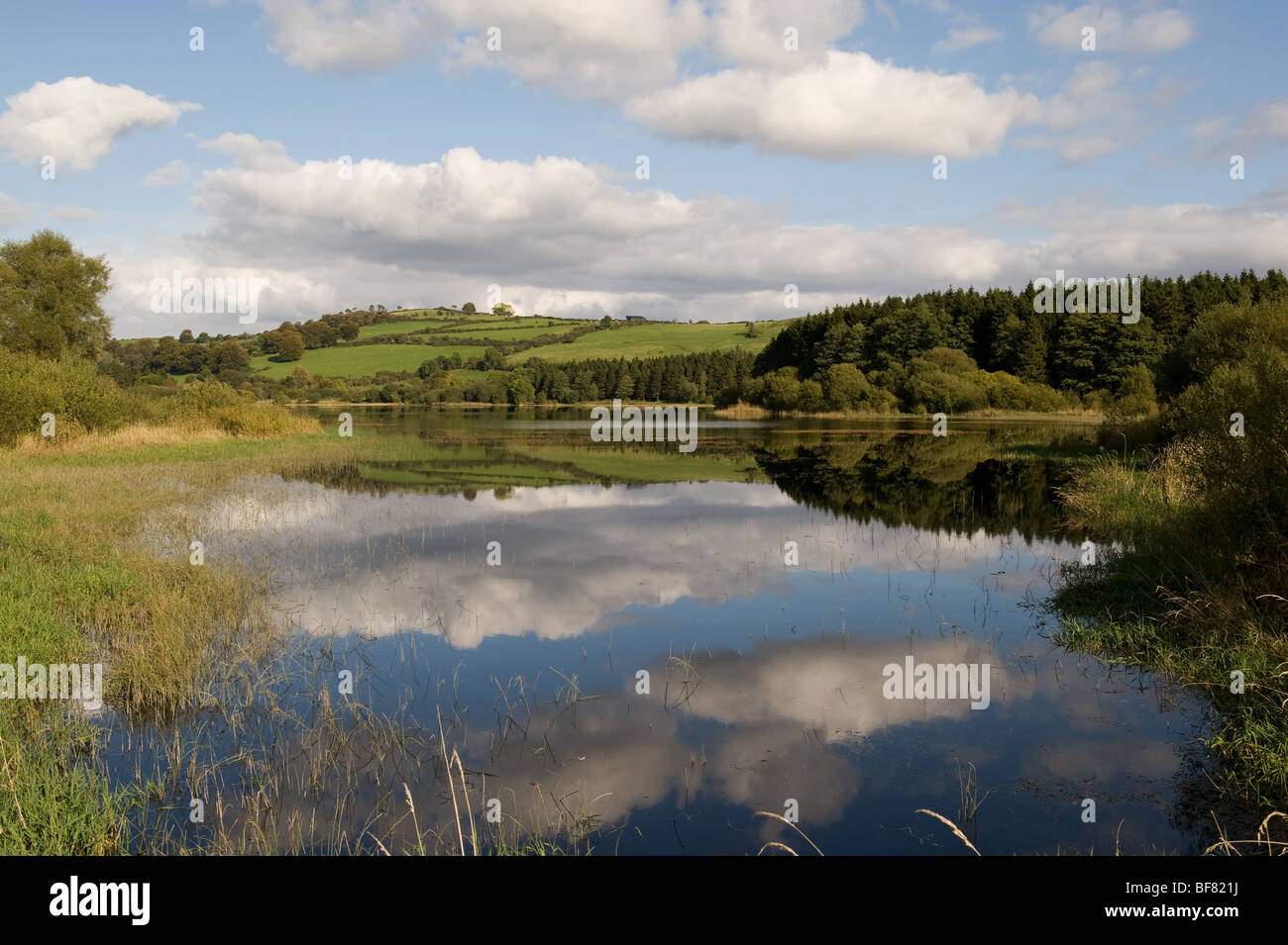 Blessington lake hi-res stock photography and images - Alamy